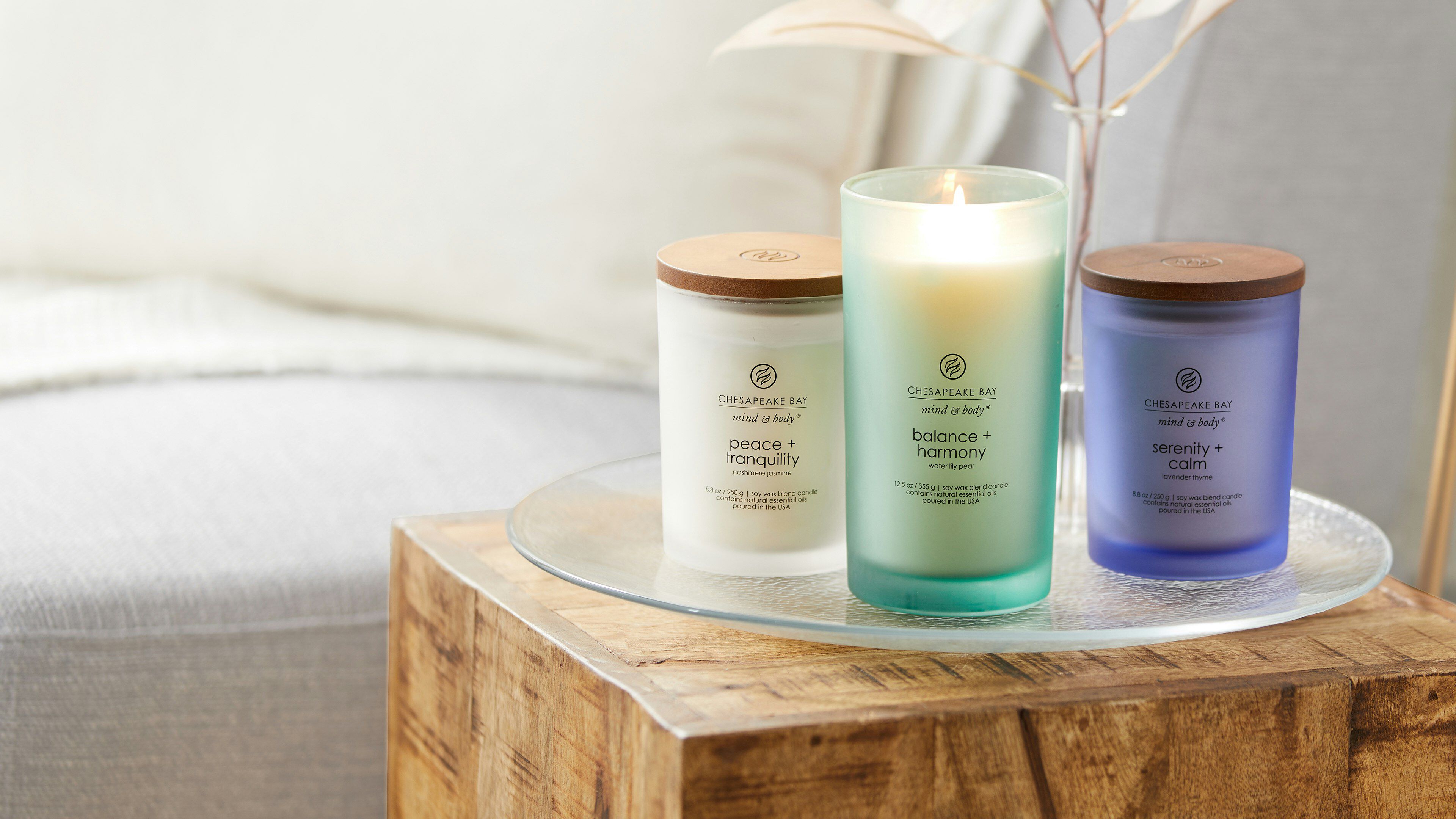 Most Popular Chesapeake Bay Candle Scent at Jonathan Worgan blog